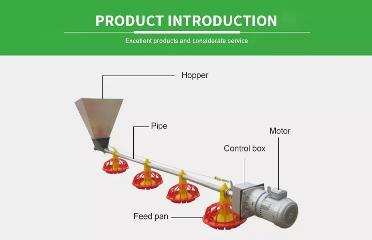 Efficient Chicken Feedings with MUHE Automatic Poultry Feeders