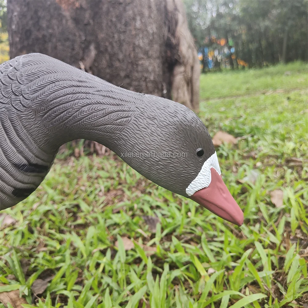 Xilei Outdoor Goose Decoy Mold - Realistic Whitefronted Goose