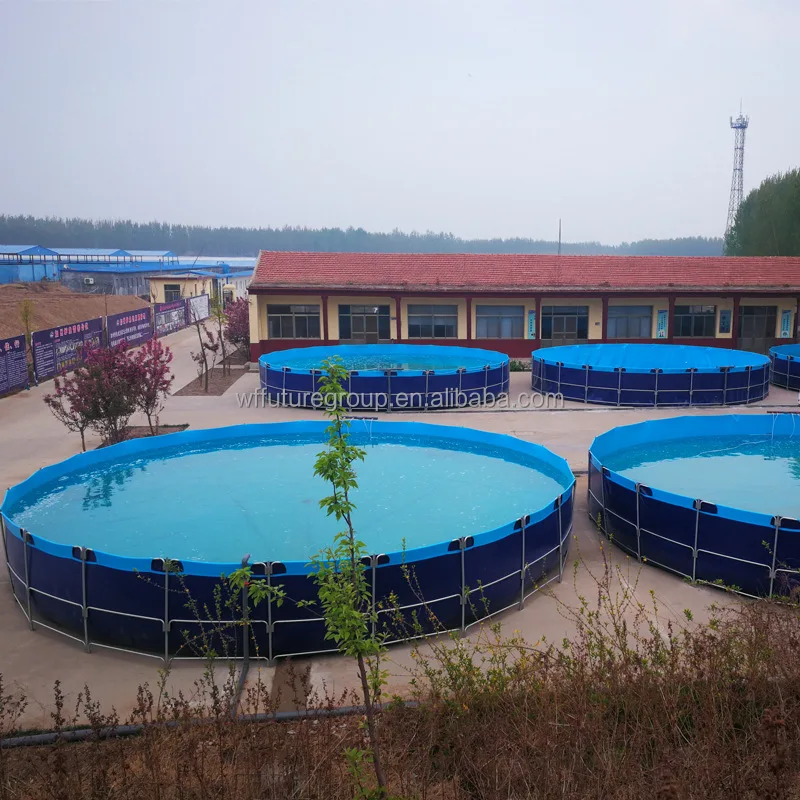 Freshwater Aquaculture Biofloc Vannamei Farm - Indoor Shrimp Fish ...