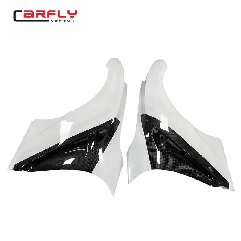 Carfly Tuning Carbon Fiber Va Ris Wide Bodykit for NISSAN GTR R35