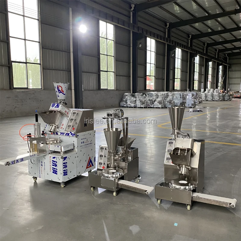 Automatic Soup Dumpling Machine - 110V/220V Steamed Bun Maker for ...