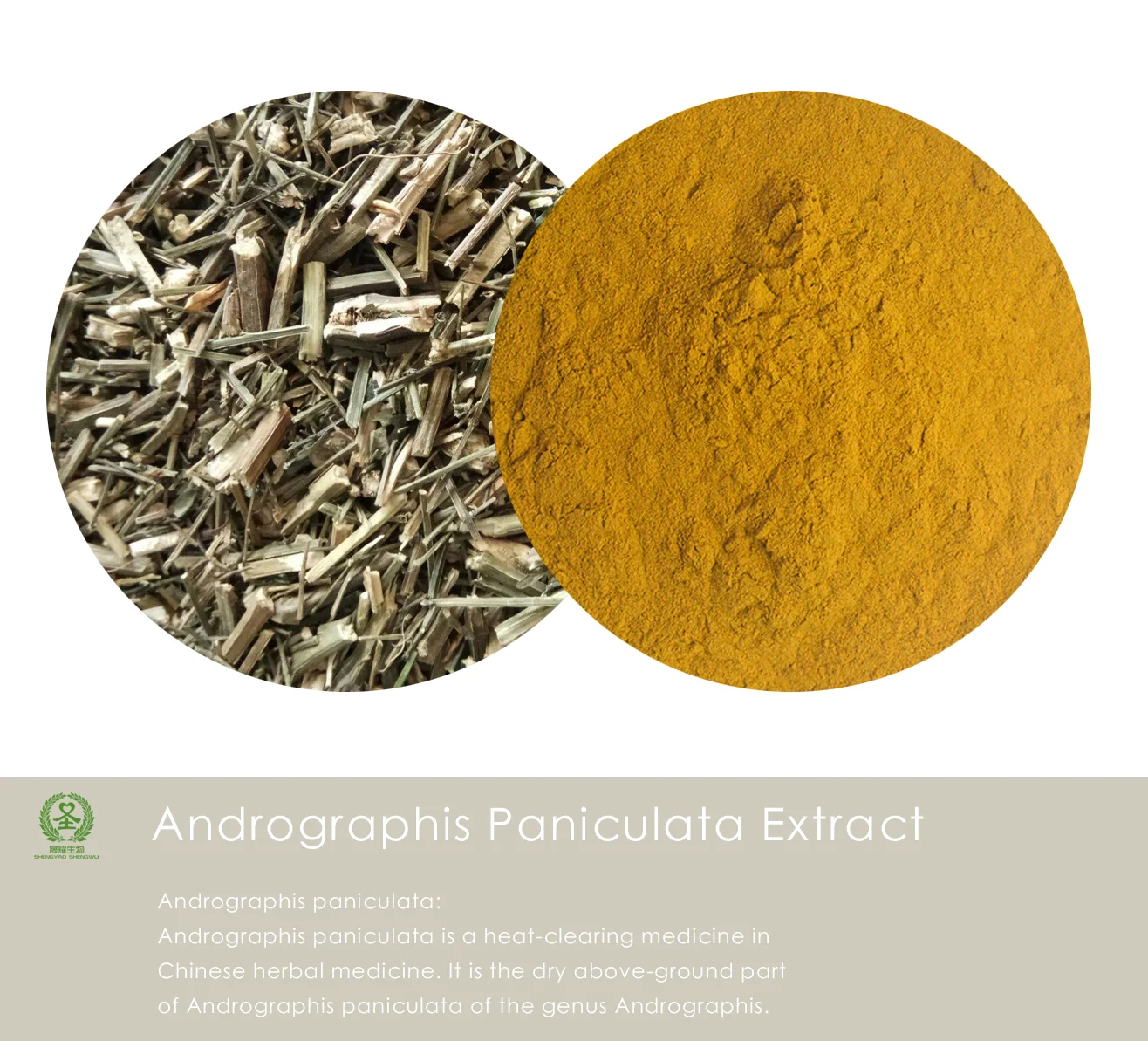 Andrographis Paniculata Extract 10:1\15:1\20:1 Andrographis Powder - Buy Andrographis Paniculata ...