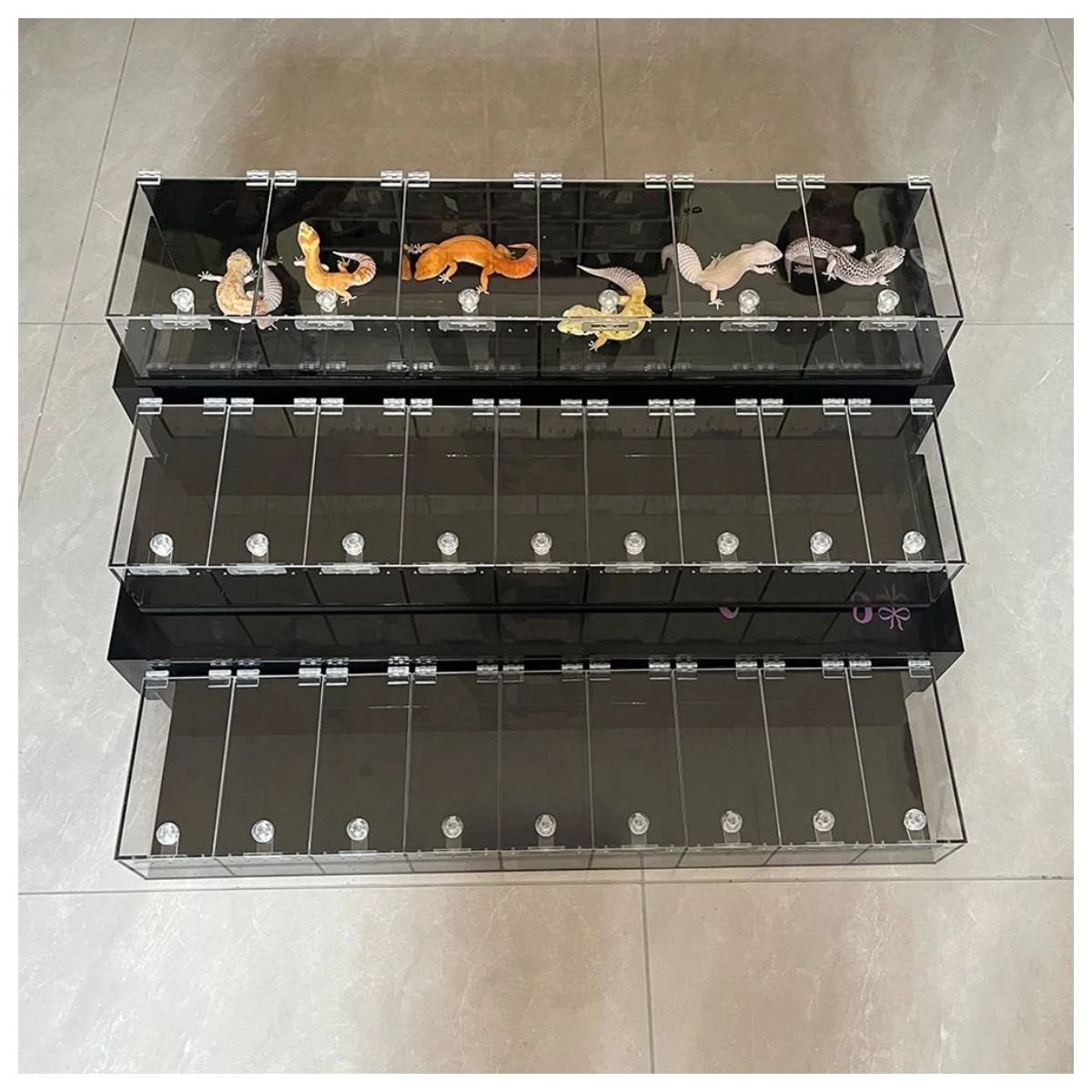 Animal Acrylic Transparent Display Stand Custom 3 Tier Tabletop Acrylic ...