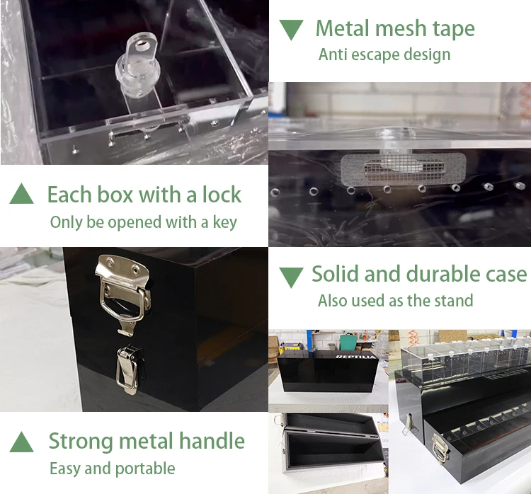 Custom 3 Shelves Table Top Acrylic Snake Gecko Reptile Display Cases ...