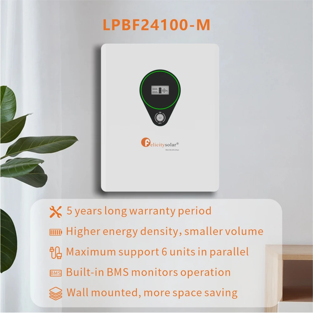 Felicity Solar Lifepo4 24v 48v 100ah Lithium Ion Battery Pack High Storage Capacity Long ...