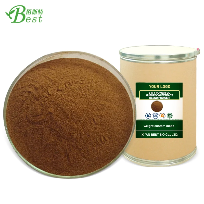 Powerful Mushroom Extract Powder Blend Lions Mane,Cordyceps,Reishi ...