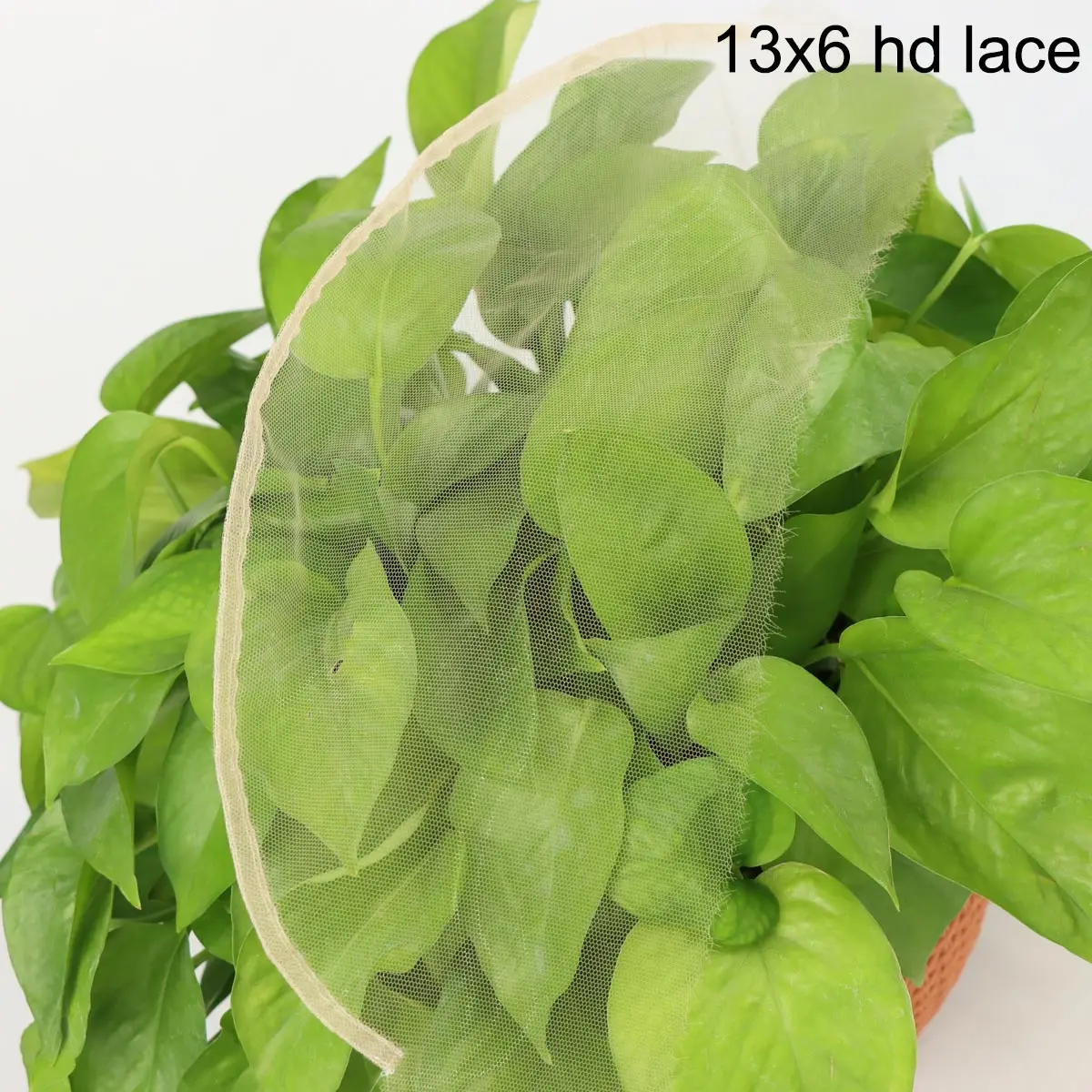 Swiss Lace Closure Net - 13x4 13x6 HD Lace for Wigs