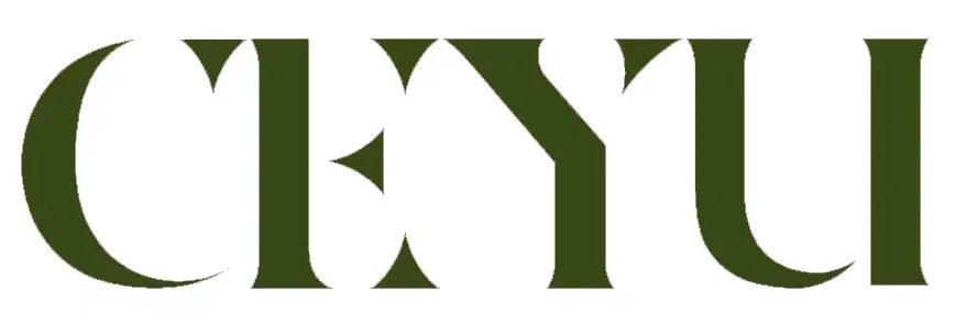 Shanghai Ceyu Industrial Development Co., Ltd. - Inflatable tent ...