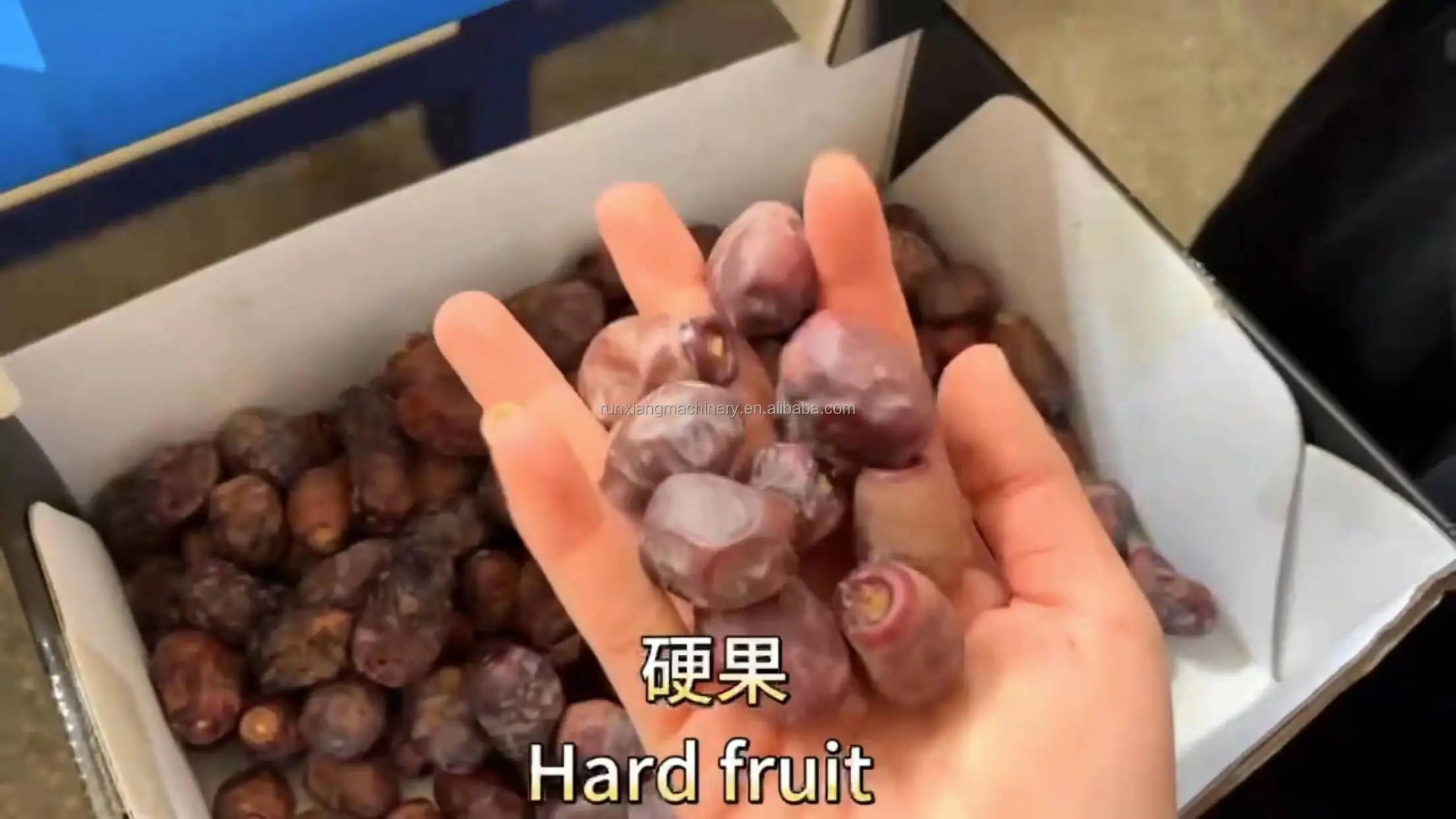 1000-3000kg Commercial Industrial Color Sorter Dates Grading Machine ...