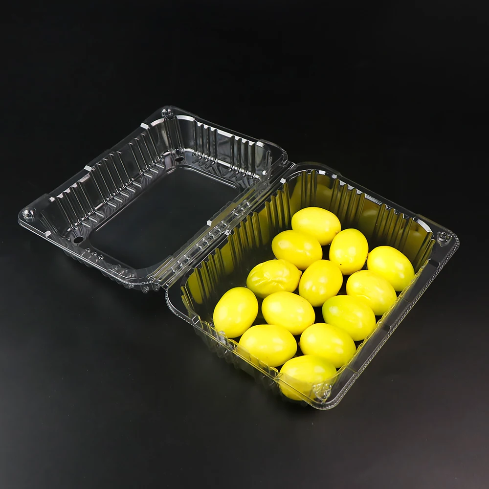 Plastic Fresh Fruit Food Box Packaging, Disposable Plastic Clamshell ...