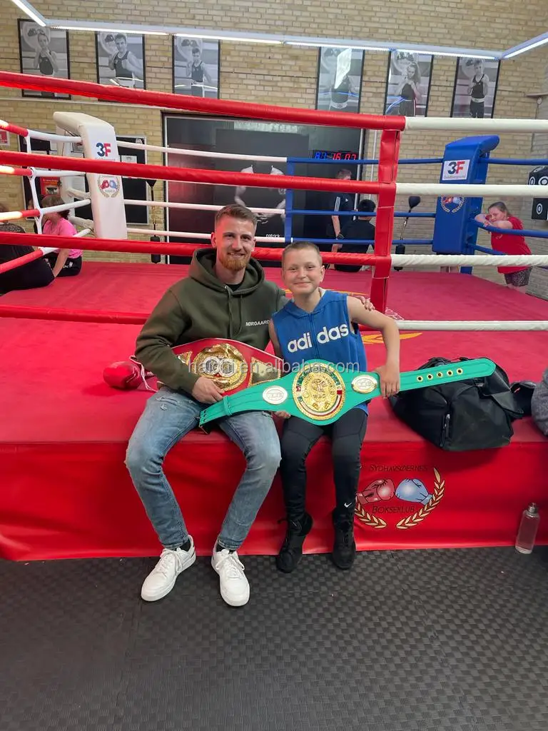 Professional International Standard Boxing Ring with Elevated Stage 20 ...