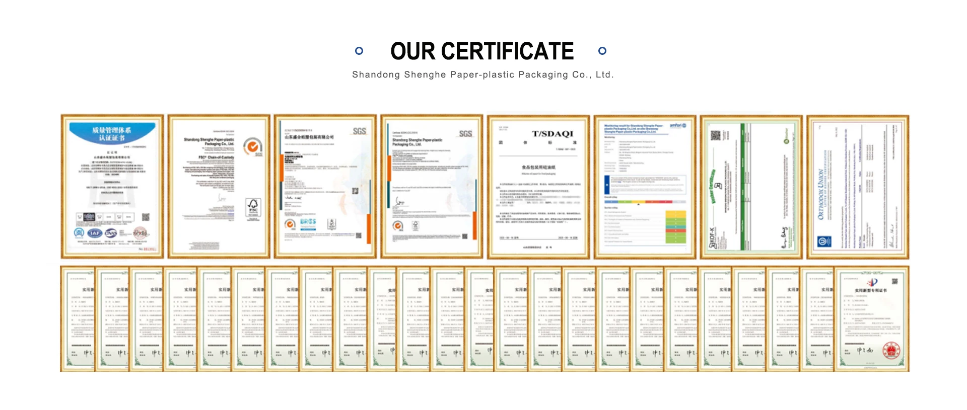 Company Overview - Shandong Shenghe Paper-Plastic Packaging Co., Ltd.