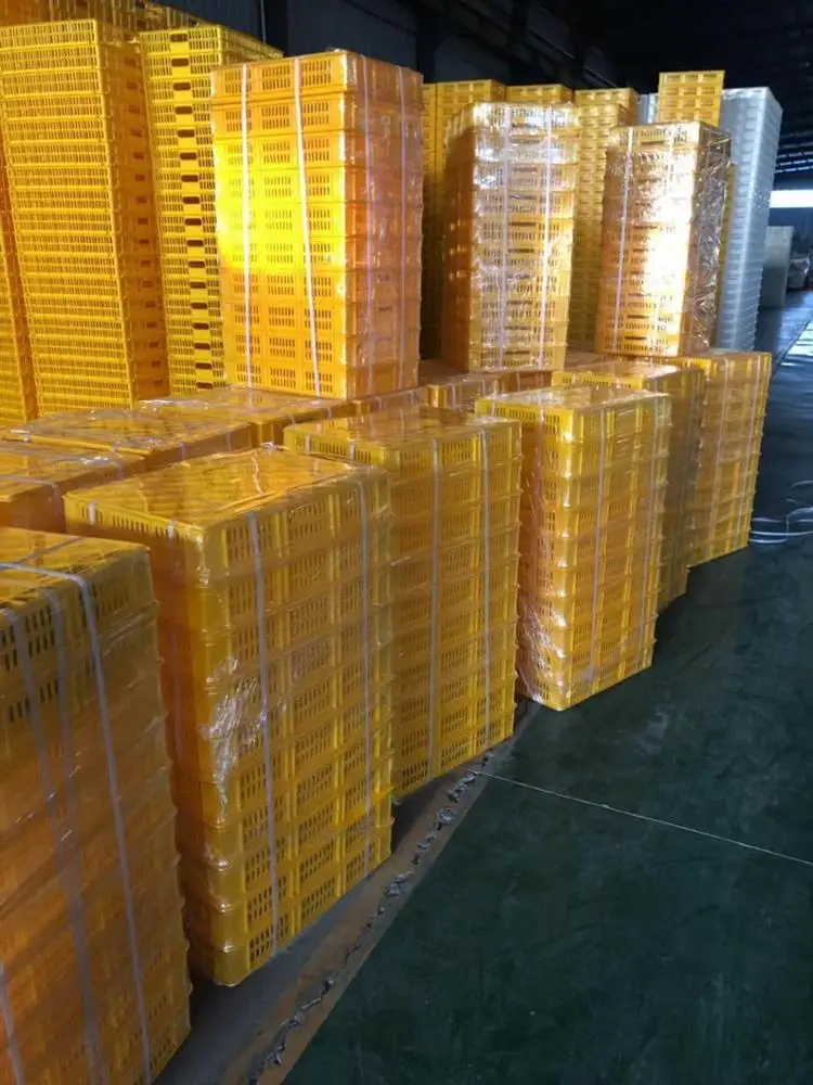 Yellow Colour Hatch Box Chick Transport Box For Egg Incubator Use - Buy ...