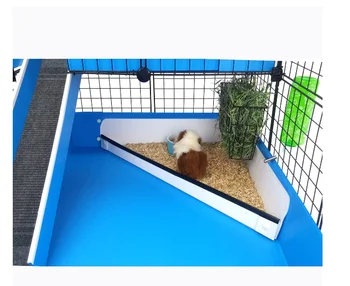 Guinea Pigs Coffee,Cavy Coffee,Corner Kitchen - Buy Guinea Pigs Coffee ...