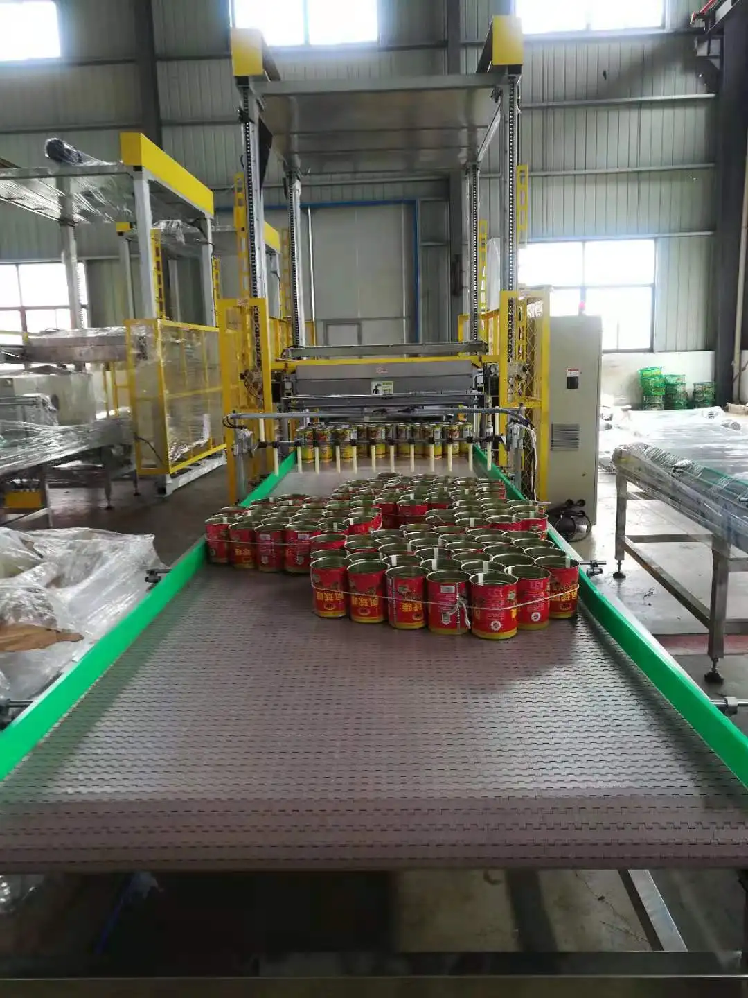 Automatic Small Palletizer for Tin Cans Packing - Golden Wing