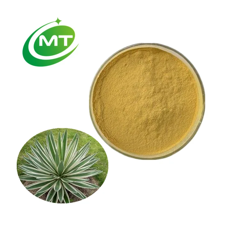 Agave Americana Leaf Extract - High Quality Cosmetic Ingredient