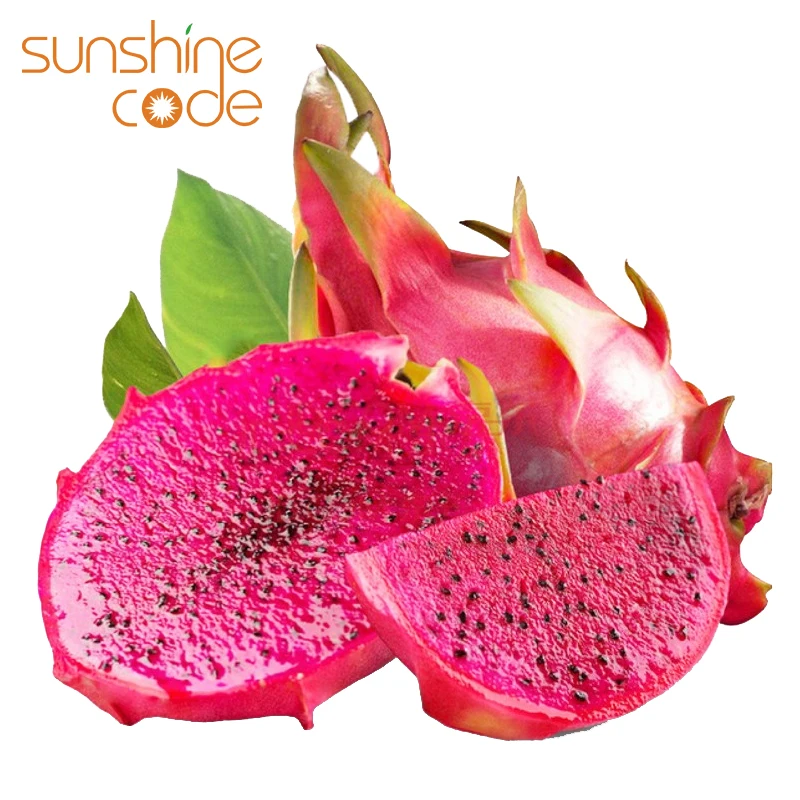 Sunshine Code fresh red dragon fruit for export from vietnam dragon ...