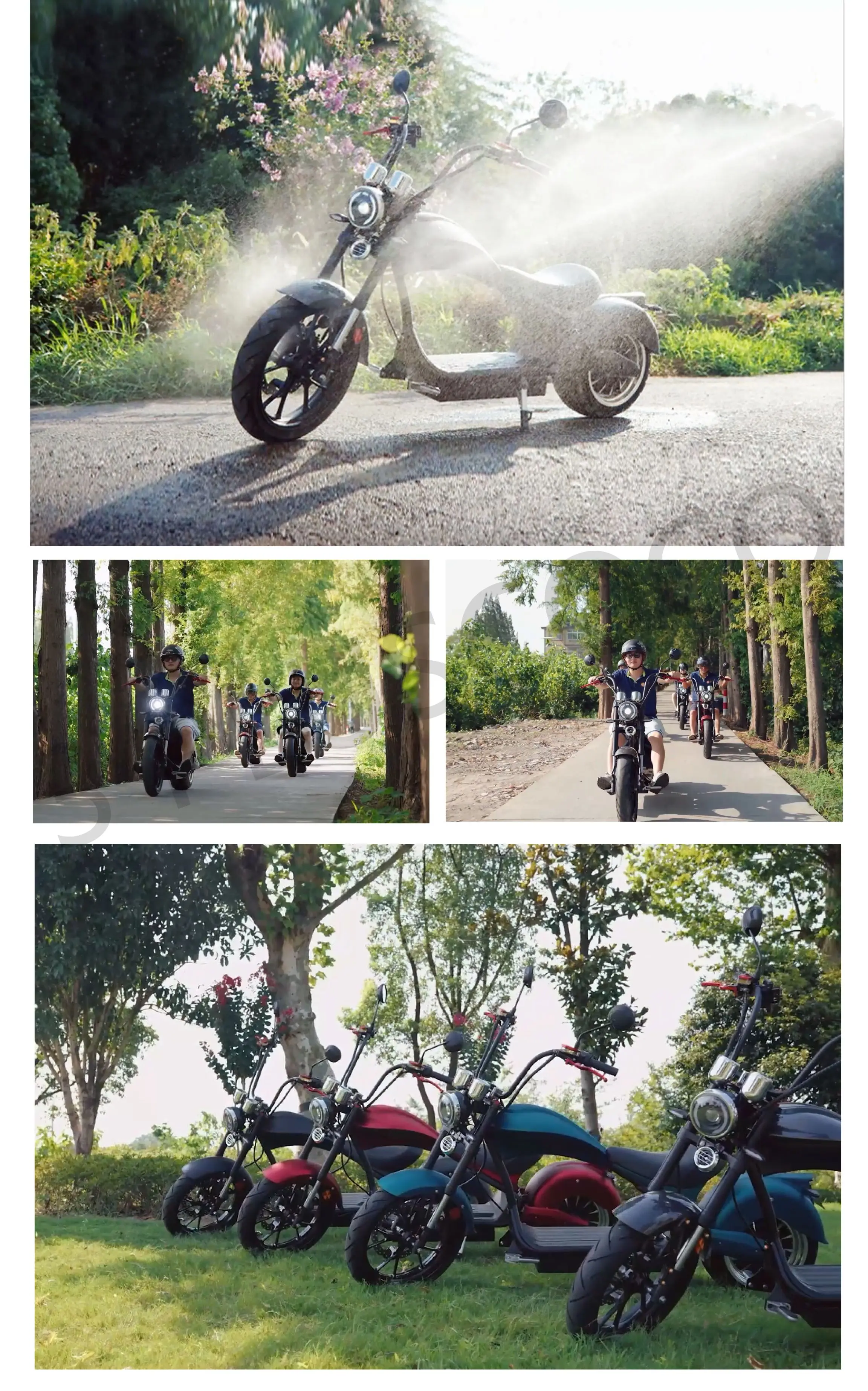 Fat Tire E Chopper Citycoco 3000w - Versatile Electric Motorcycle