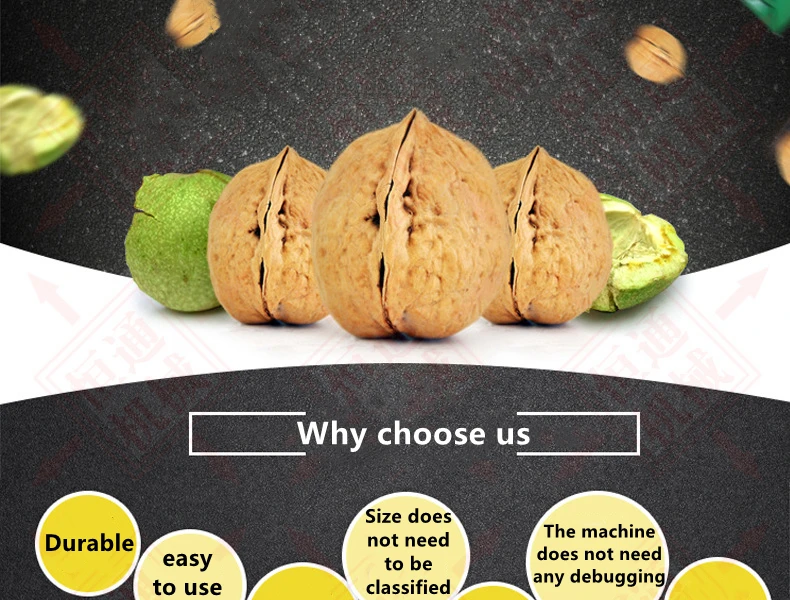 Efficient Noyer Les Puces Machine - Automatic Walnuts Peeler