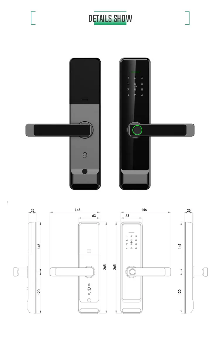 Doorplus Waterproof Smart Lock Wifi App Control Biometric Smart Door ...