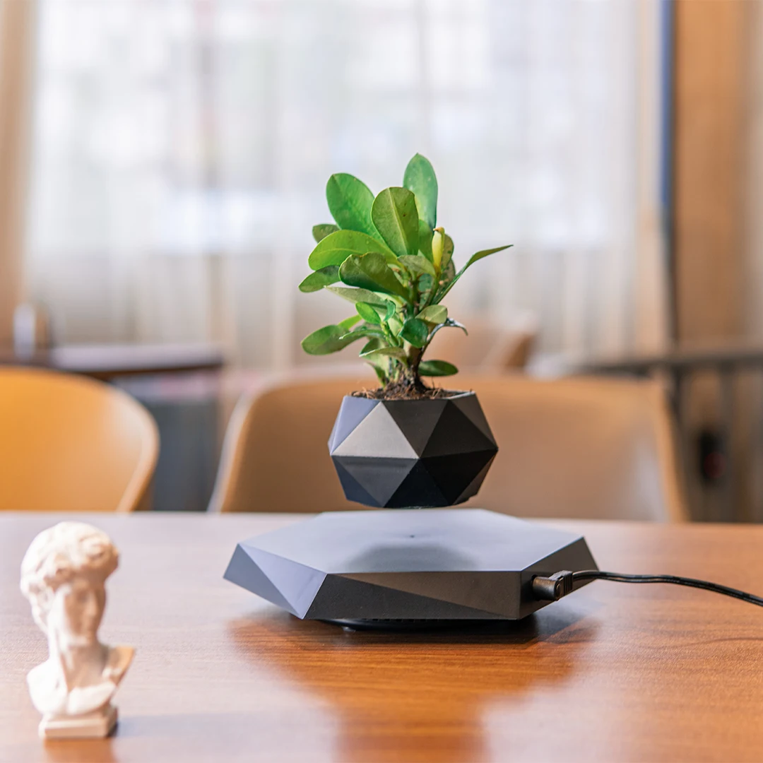 Air Plant Magnetic Levitating Planter - Creative Gift