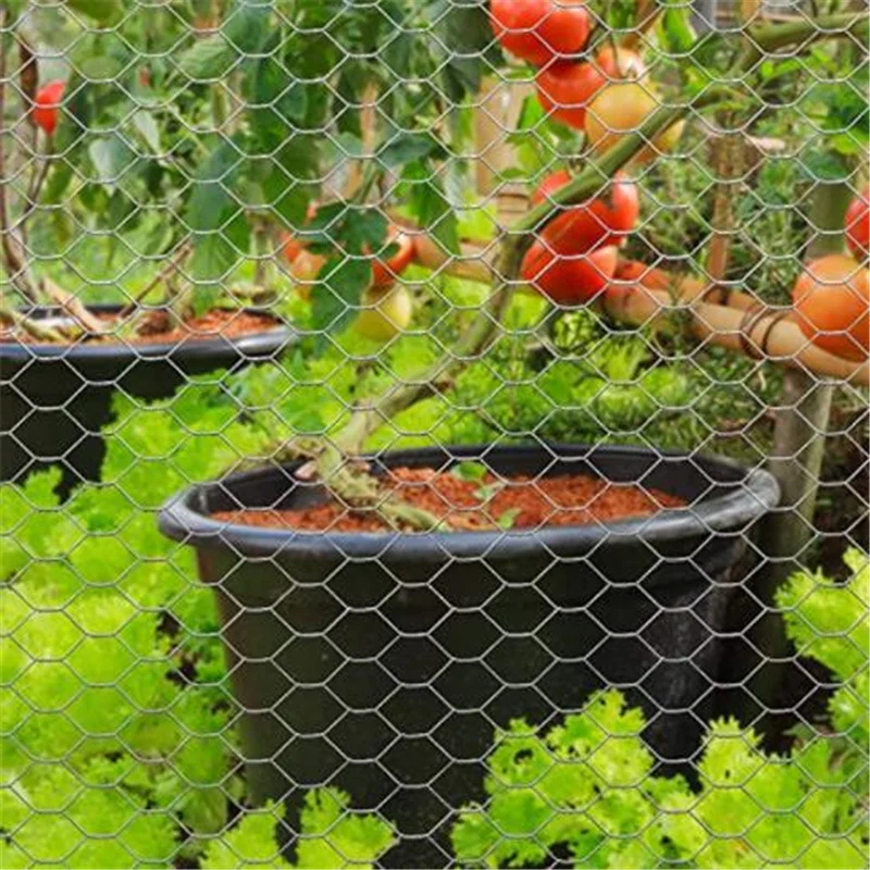 Galvanized 3/4inch*1.2m*30m Cheap Chicken Coop Hexagonal Wire Mesh ...