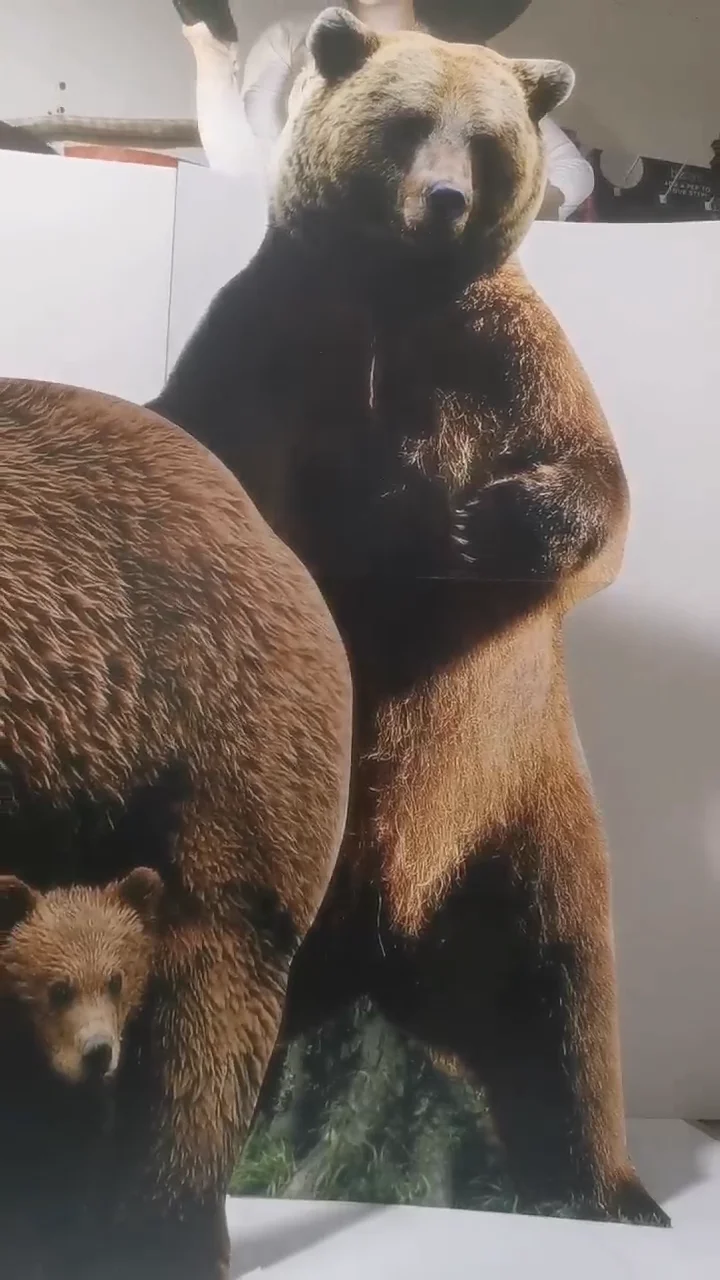 Life Size Poster Corrugated Display Standee Advertising Custom ...