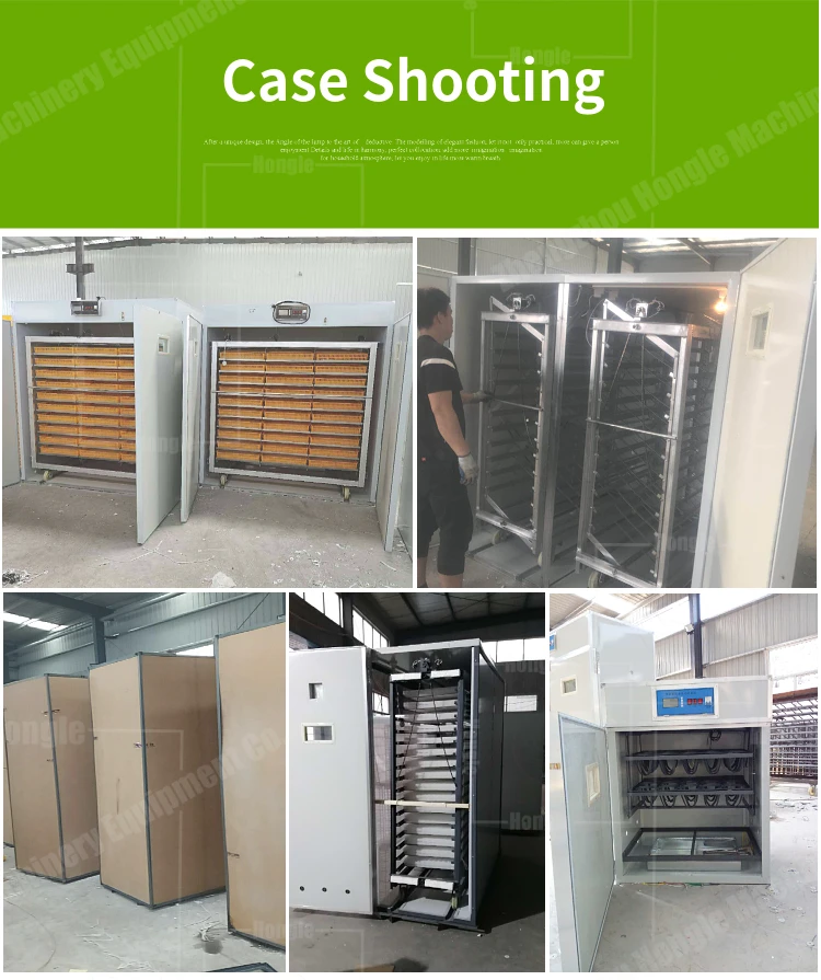 Poultry Incubator and Hatchery Inqubator Egg Incubator Automatic1000 ...