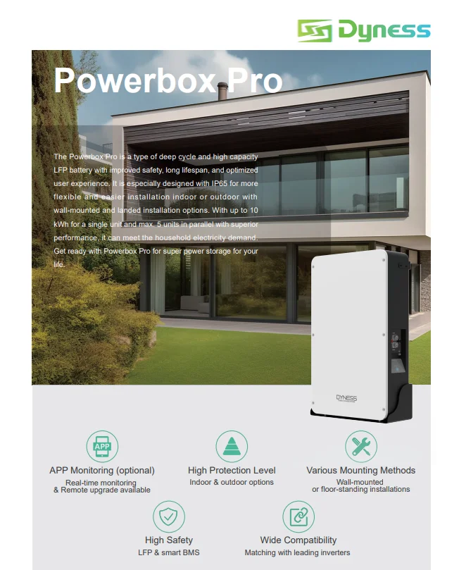 IP65 Wall-Mounted Dyness Powerbox Pro 51.2V 200AH Battery