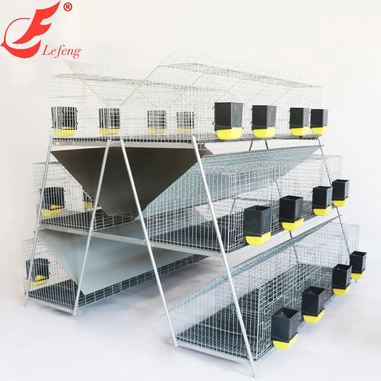 Lefeng Rabbit Cages - Durable and Efficient Breeding Equipment