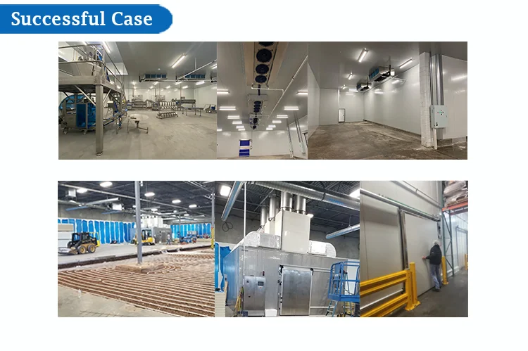 Frozen Meat & Fish Processing - Efficient Cold Room Solutions