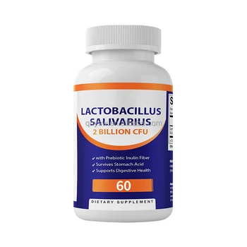 Oem Pure Probiotics Tablets Lactobacillus Salivarius Bulk Lactobacillus ...