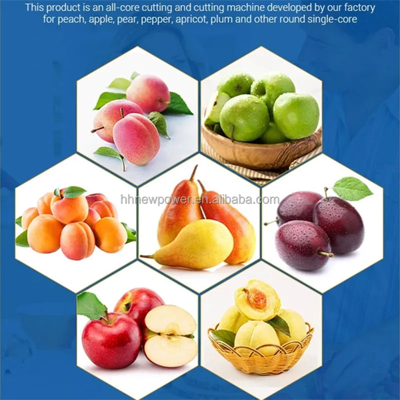 Efficient Plum Pitting Machine - Automatic Cherry Stoner