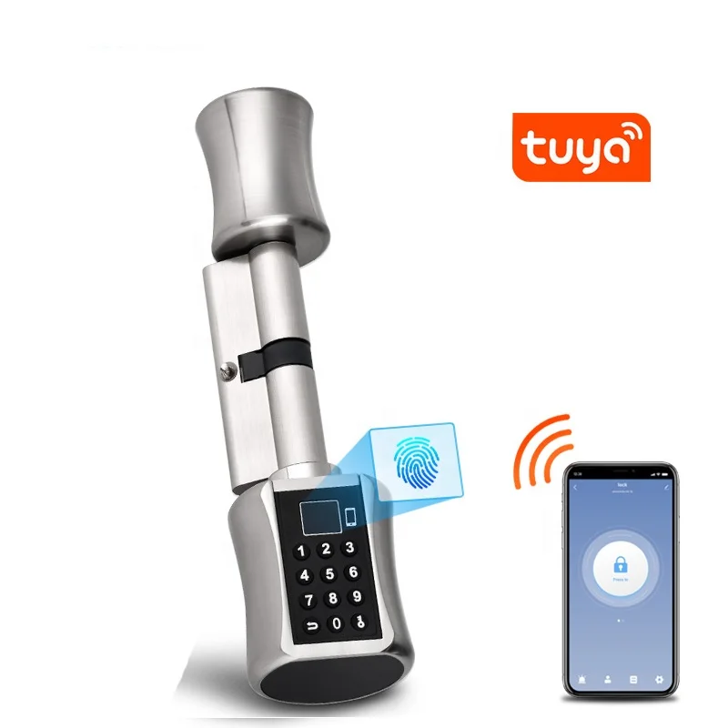 Zinc Alloy Biometric Fingerprint Password Smart Door Lock Wireless Lock ...