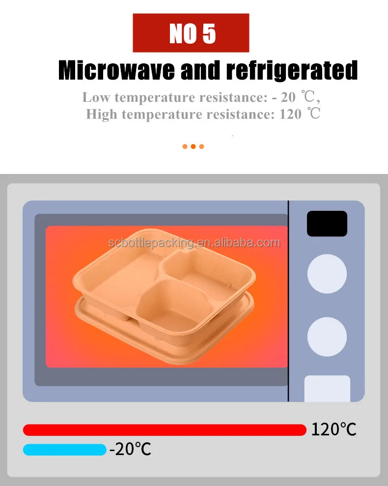Biodegradable Bagasse Bento Trays - Sustainable Lunch Solutions