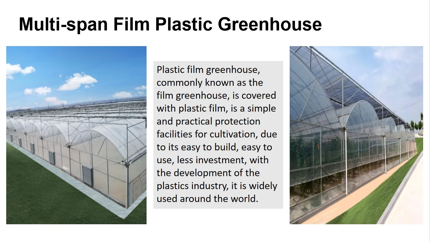 HUALIANG Film Greenhouses - Affordable & Customizable Solutions