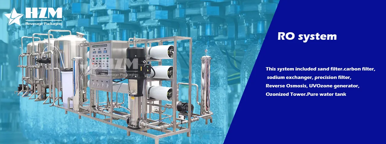 10t/h One Level Ro Water Treatment Machine System /reverse Osmosis ...