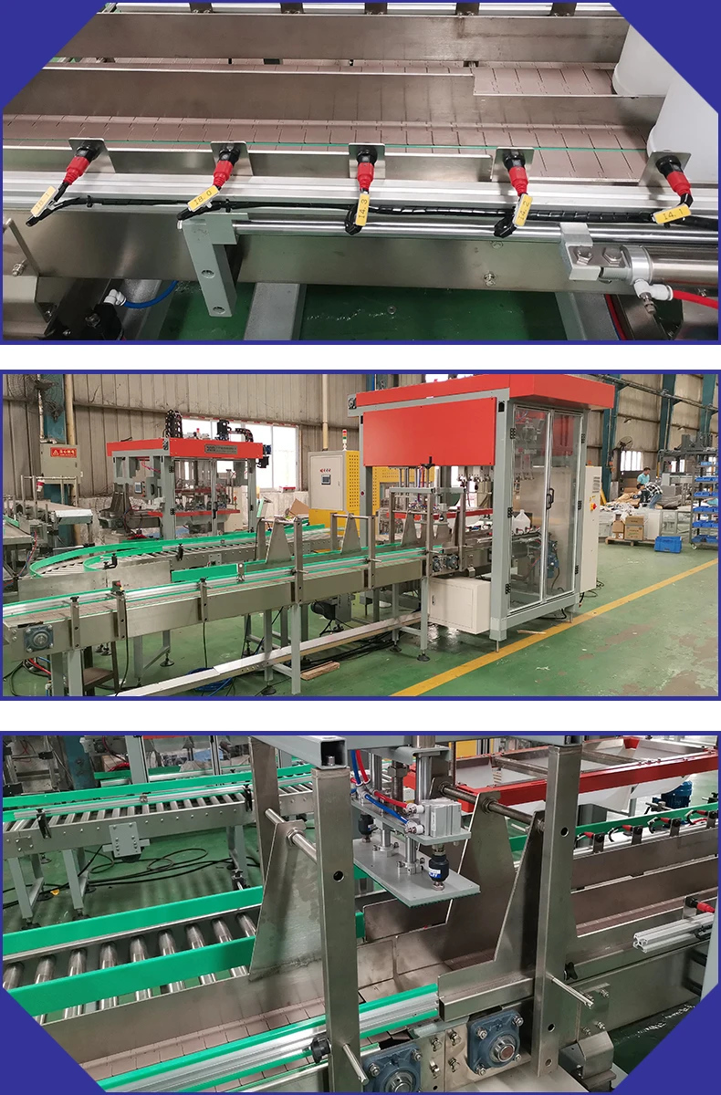 Automatic New Generation Robotic Case Packer for Food Packaging