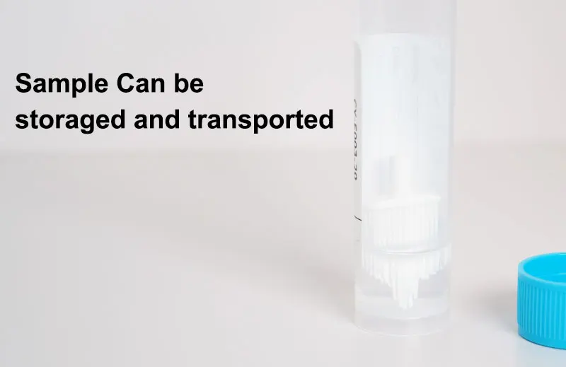 Gynecological Cervical Brush Hpv Test Kit Vaginal Swab Hpv Self Test ...