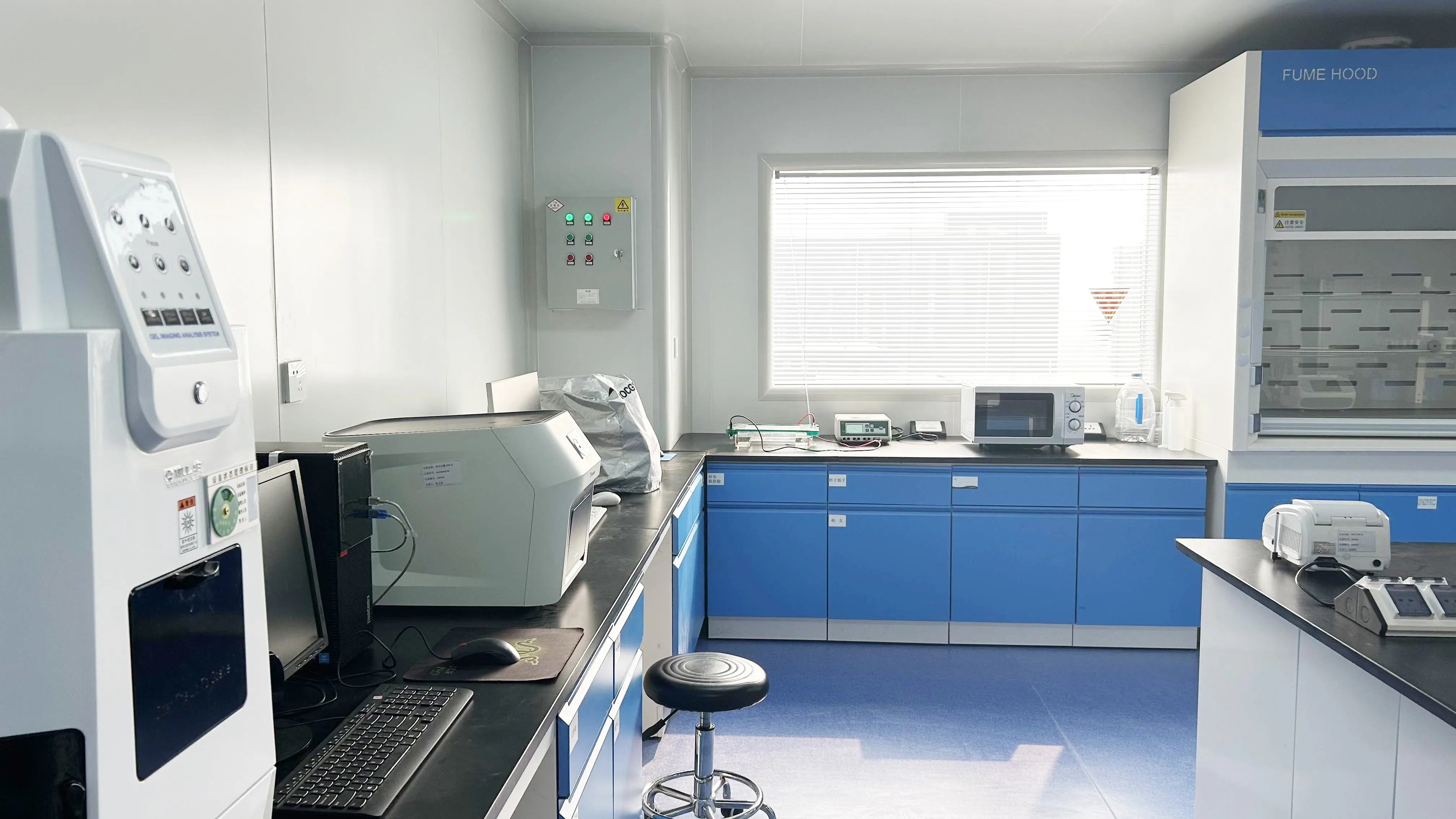 Plasmid Dna Extraction Spin Column Biochemistry Reagents 200rtx Plasmid ...