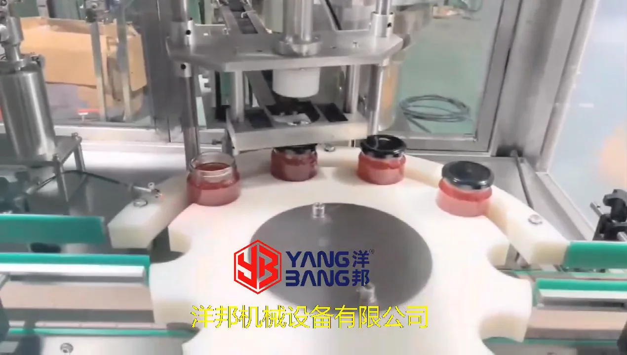 Yb-jg4b Automatic Heated Hopper Tomato Paste Ketchup Thick Paste Fruit ...