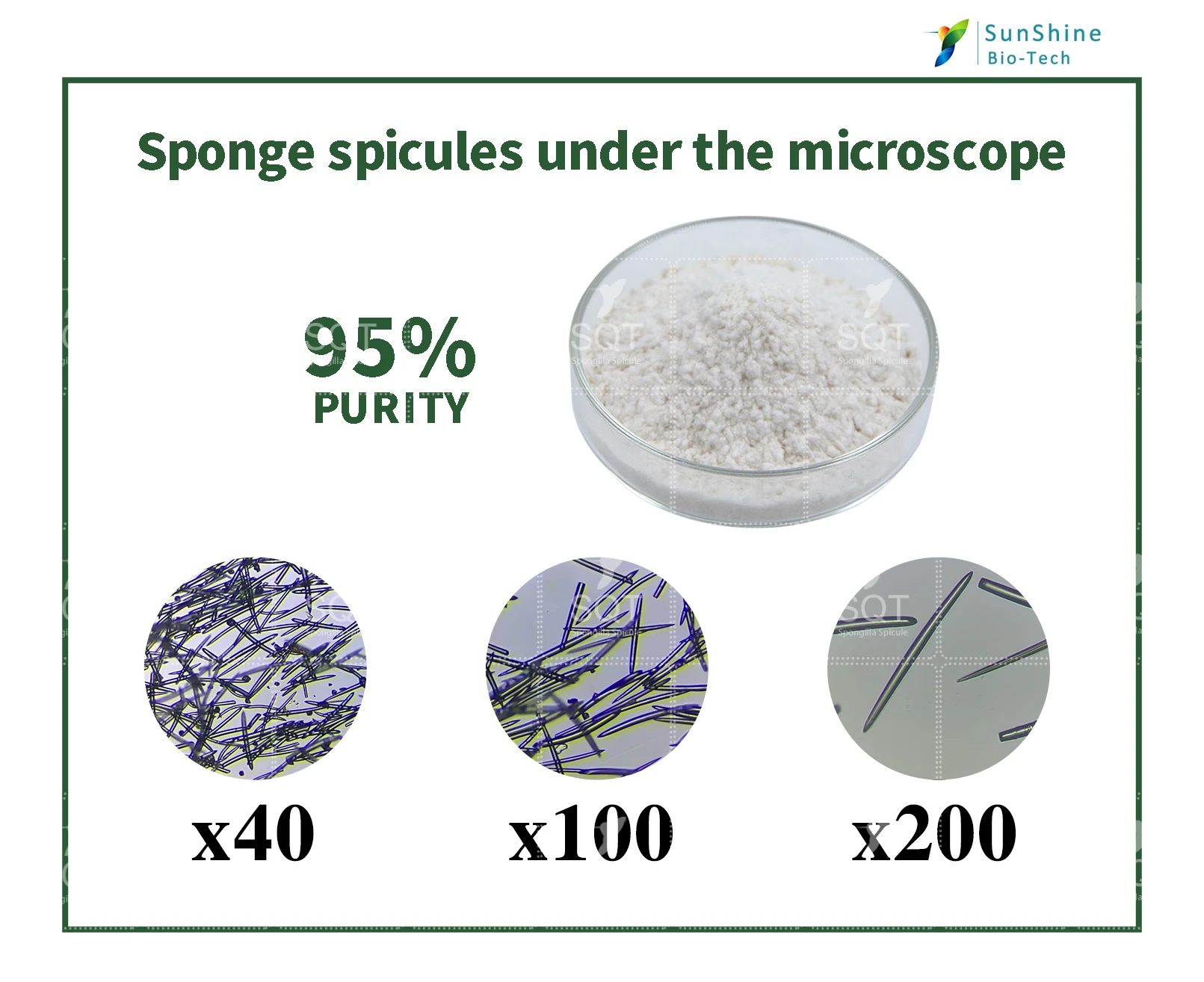 Hot Sale Spongilla Spicules Powder Peel Resurfacing Exfoliant Powder ...