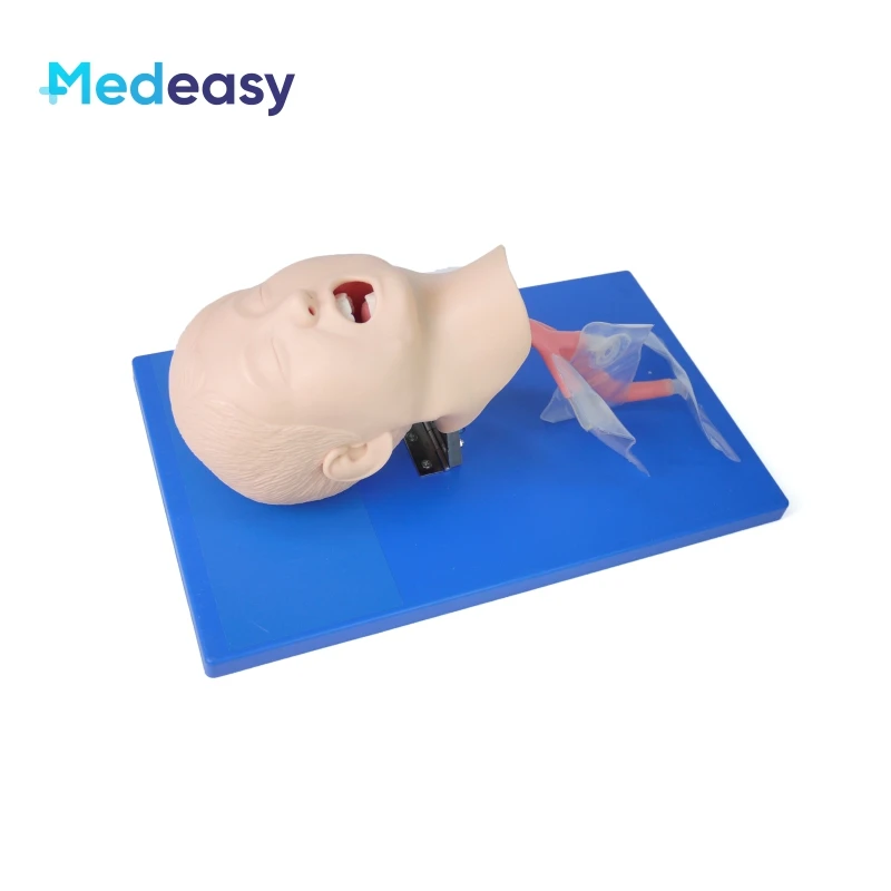 Neonatal Infant Child Adult Airway Intubation Model, Endotracheal ...