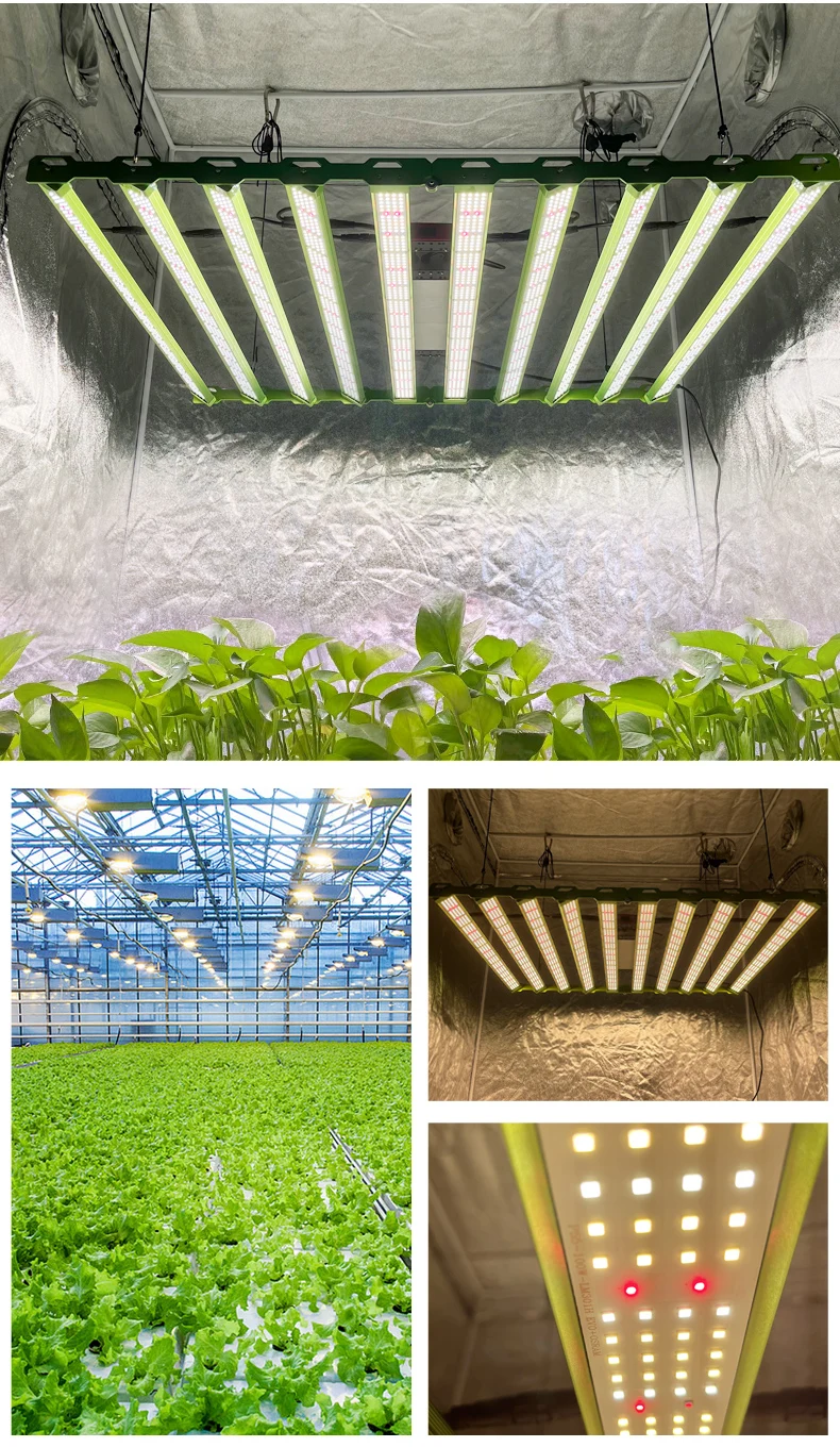 Kingbrite LM301H EVO 1000W LED Grow Light - 50000 Hours Lifespan