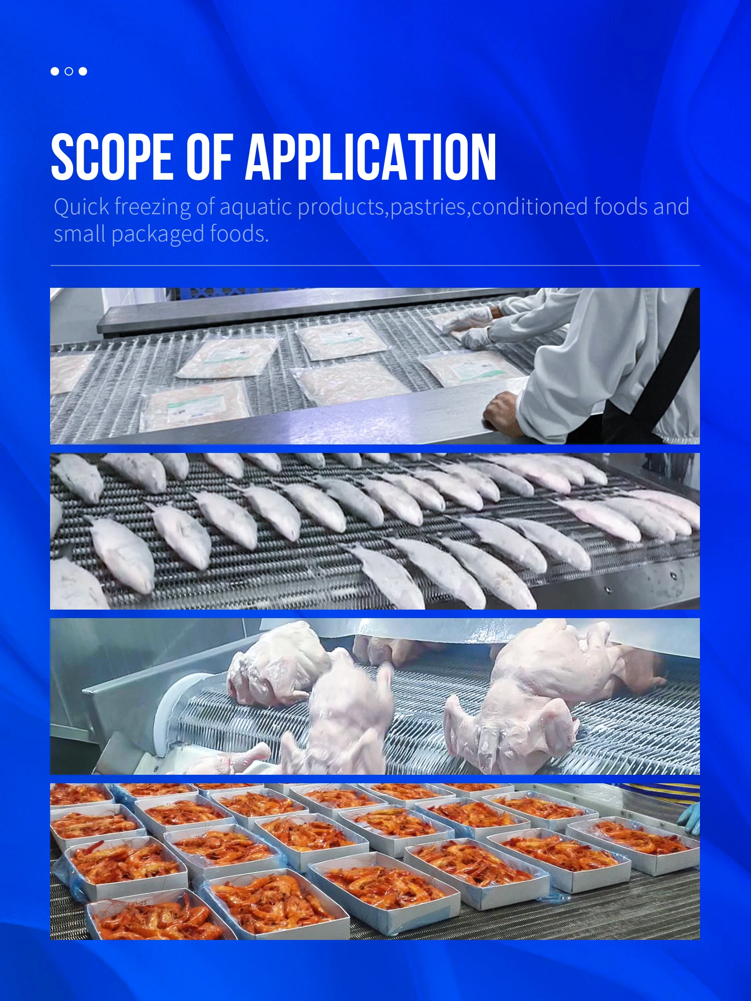 Quick Freezing Iqf Spiral Freezer Dumplings Double Screw Spiral Quick ...