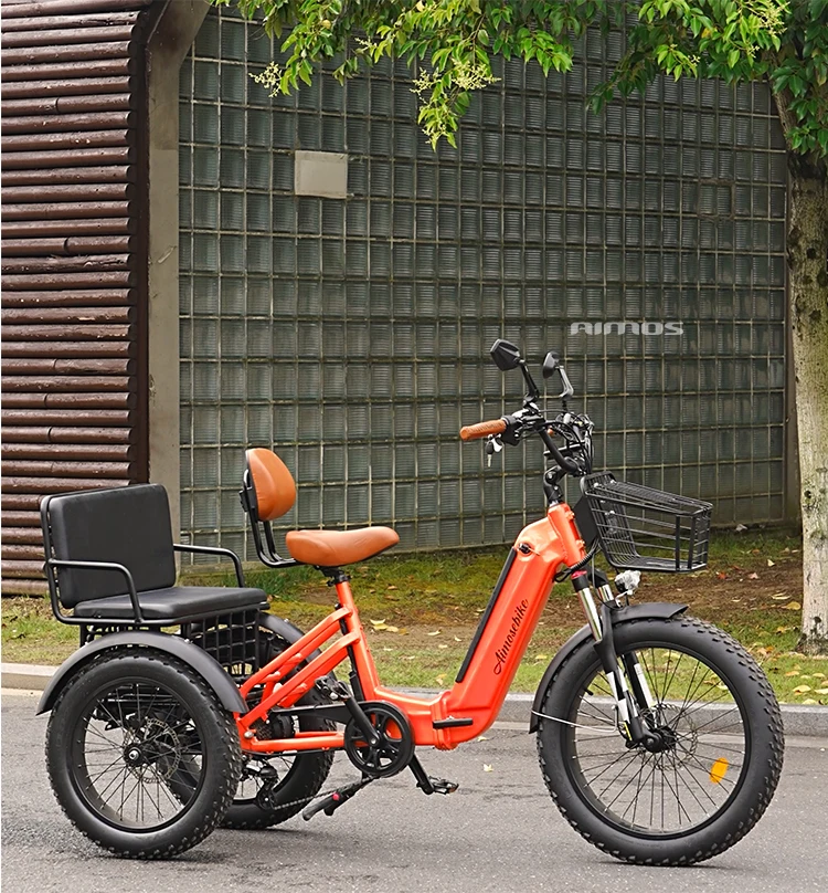 Aimos Factory NEW Design 48V 1000W Electric Tricycles