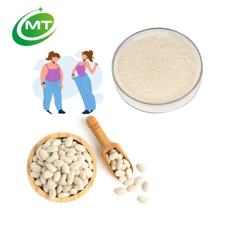 Top Quality Navy Bean Extract Organic White Kidney Bean Extract Powder ...