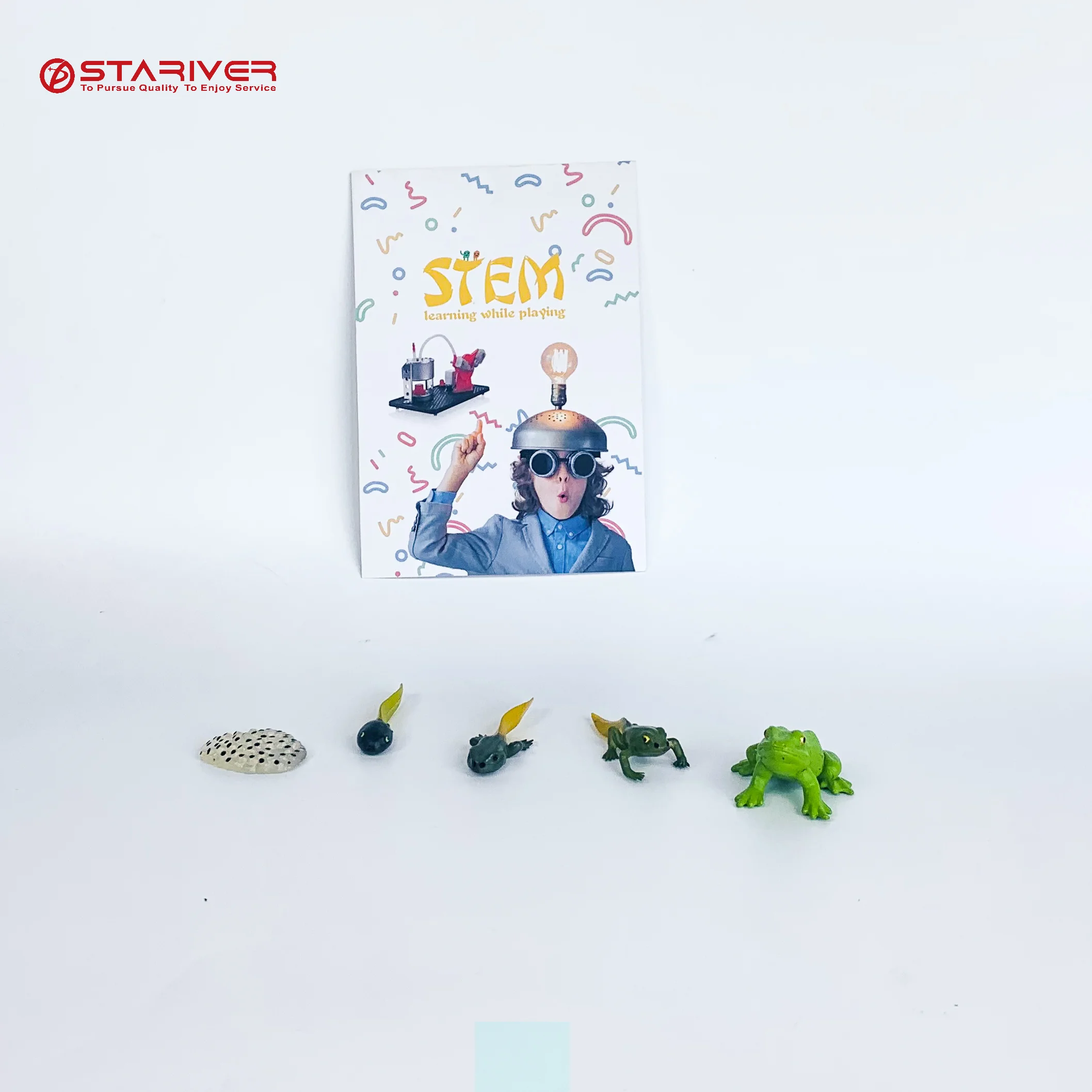 Science Stem Toy Life Cycle of Frog Biology Kit for Kids| Alibaba.com