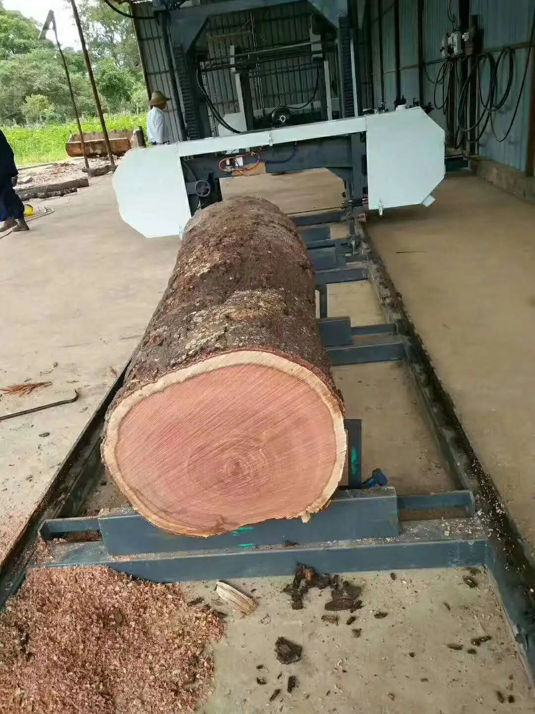 Hydraulic Loading Horizontal Log Cutting Sawmill Machine