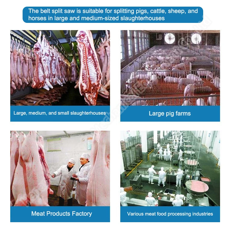Cow Processing Machine splitting saw for cow half carcass pig splitting ...